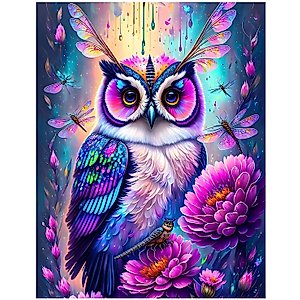 KEUASDV Diamond Painting Kits for Adults, Owl 5D DIY Diamond Art Kits Full Drill Diamond Dots for Gift Wall Decor and Relaxation Gem Arts 12x16 inch