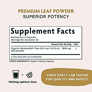 ENDURANCE DUO: Organic KSM-66 Ashwagandha + Organic Moringa - Vegan capsules - 2 Month Supply - Reduce stress fatigue tension worry laziness - Boost energy immunity performance memory focus