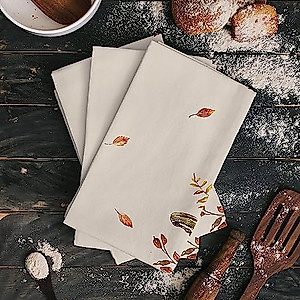 Fall Kitchen Towels Set Pink Pumpkins Flower Thanksgiving Dish Towel Autumn Harvest Maple Leaves Dishcloths,Absorbent Soft Cotton Dish Cloths Tea Towels Fall Seasonal Decoration Hand Towels Set