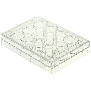 Nest Scientific 712001 Polystyrene 12 Well Cell Culture Plate, Flat Bottom, Tissue Culture Treated, Sterile, Clear, 1 per Pack, 50 per Case (Pack of 50)