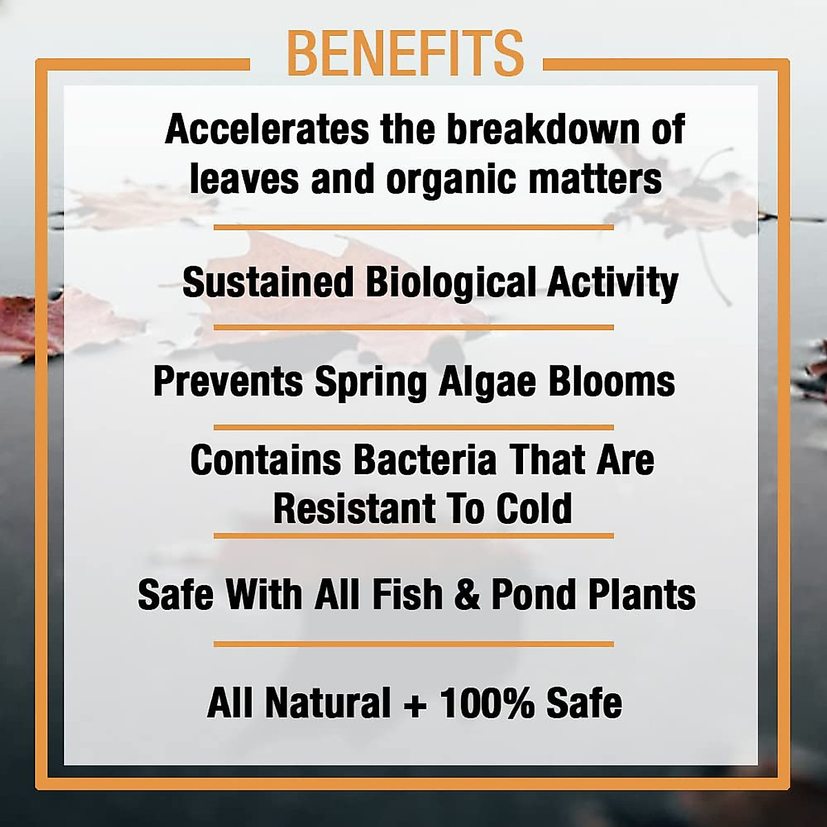 MICROBE-LIFT AUTPREP Autumn and Winter Prep Seasonal Conditioner for Ponds and Outdoor Water Gardens, Safe for Live Koi Fish, Plants, and Decor, 32 Ounce Liquid and 4 2-Ounce Packets