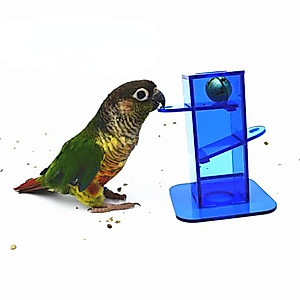 Barn Eleven Parrot Foraging Toys with Bell, Bird Training Toy, Bird Interactive Intelligence Toy for Budgies Parakeets Cockatiels Conure