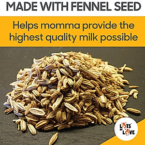 Bitch Pills - Prenatal Dog Vitamins - 90 Tablets