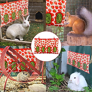 AYAWOW Large Rabbit Hay Bag Guinea Pig Feeder, 18.3x11.6 Inch, 4 Holes, Nylon Material, Suitable for Multiple Pets