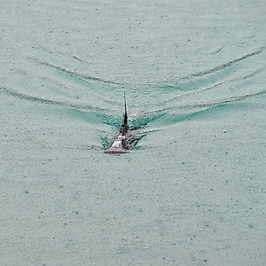 Arkmodel 1:48 U31 (Type 212A) AIP Submarine Including Double Piston Tank WTC(Water Tight Cylinder) KIT [C7615K+W7615PS2K]