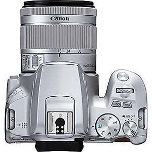 Canon EOS 250D (Rebel SL3) DSLR Camera w/ 18-55mm is STM Lens (Silver) (International Model)