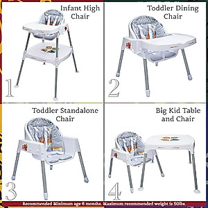 Harry Potter Magical 4-in-1 High Chair | Infant to Kids - Transfigures to Table & Chair by KidsEmbrace