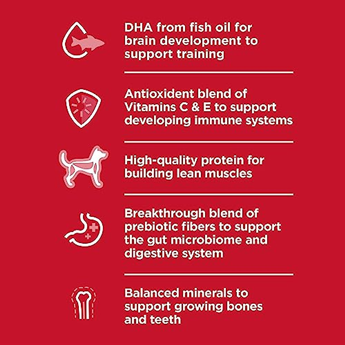 Hill's Science Diet Wet Dog Food, Puppy, Chicken & Barley Recipe, 13 oz. Cans, 12-Pack