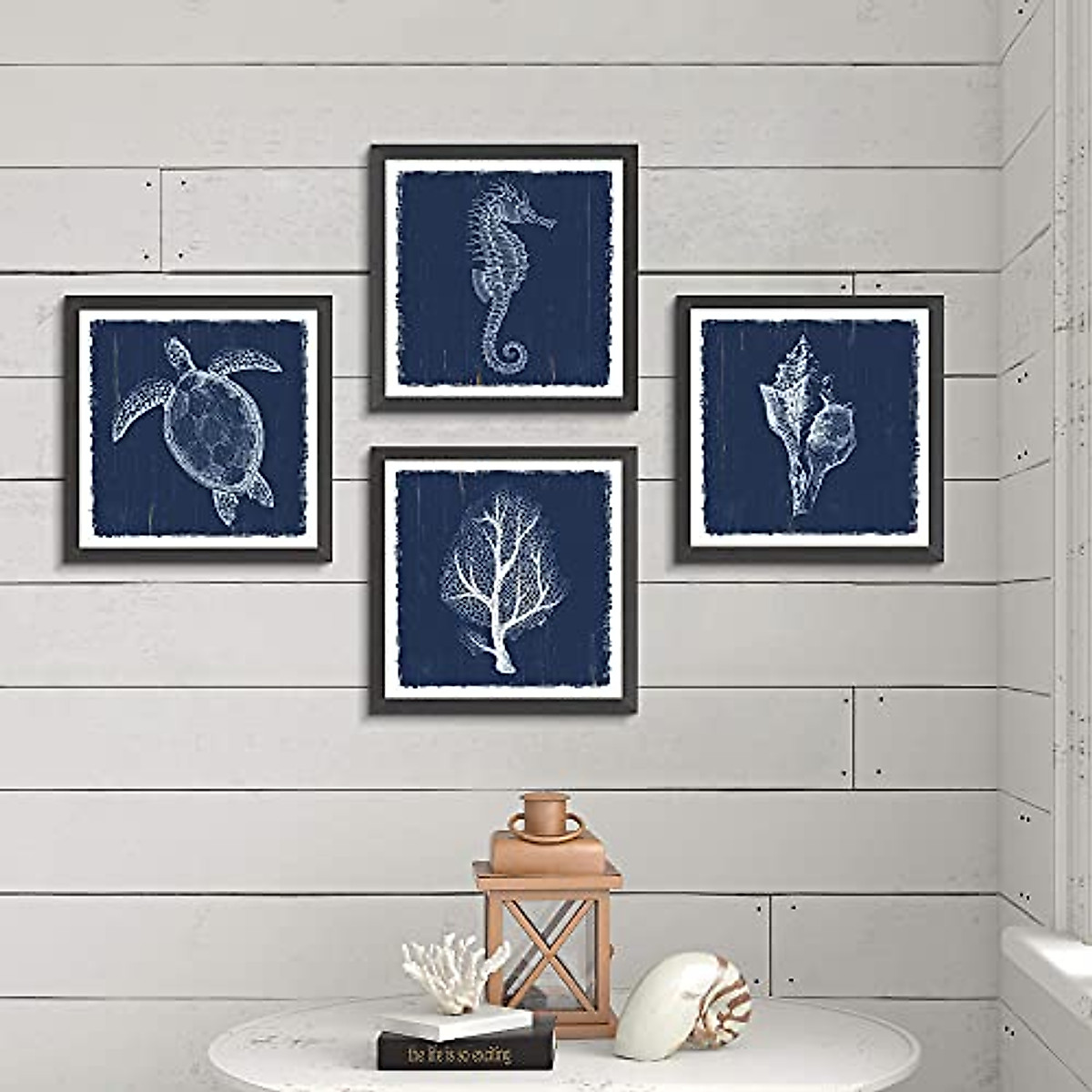 Sea life Art Framed Artwork: Coastal Pictures Ocean Theme Square Collection Set of 4 Wall Decor Set Prints for Bedroom (Multi-Style)