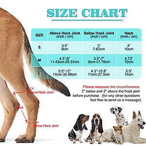 Domagiker Rear Leg Hock Brace, Dog Knee Brace with Metal Strips, Hock & Ankle Support Back Leg for Canine Torn, Dog Leg Sleeve for ACL & CCL Injury and Sprain Protection (Black, Medium(one Pair))