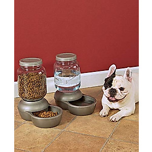 Petmate Mason Inspired Replendish Gravity Waterer, Water Dispenser for Dogs and Cats, 1 Gallon Silver