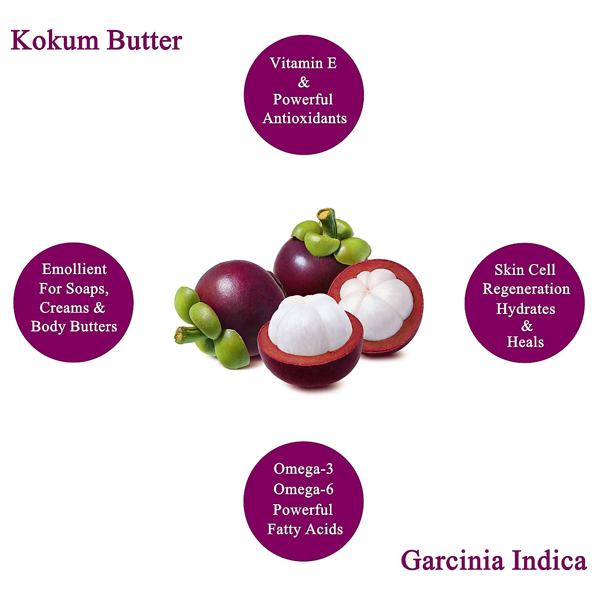 Raw Kokum Butter 3 lbs. Bulk 100% Pure Natural - Great for Skin, Body and Hair Moisturizer, DIY Creams, Balms, Lotions and Soap Making.
