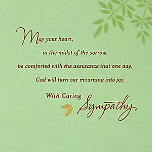 Hallmark DaySpring Religious Sympathy Card (Better Place) (5RZA1033)