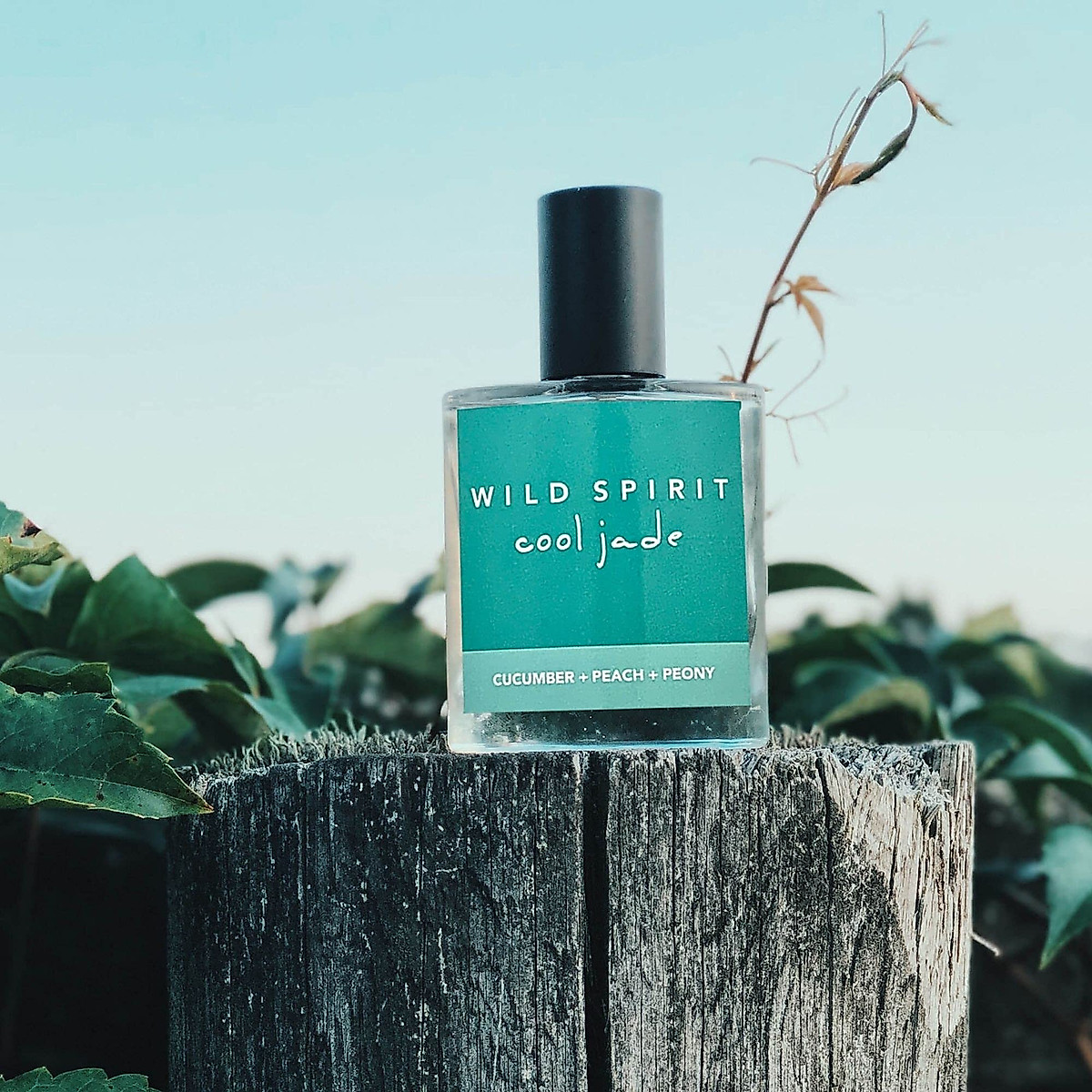 Wild Spirit Cool Jade Eau De Parfum Spray | Fresh Green Cruelty-Free Perfume for Women, 1 fl oz/30mL