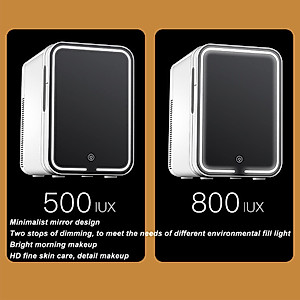 Mini Beauty Fridge, 10 Liters Beverage Refrigerator, Portable Beauty Freezer for Skincare, Breast Milk, Snacks, Medications and Beverage, Cooling and Heating, Mirrored Door