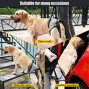 HDKUW Dog Lifting Harness,Dog Hind Legs Support Strap, Pet Portable Recovery Walking Training Lift Strap with Handle for Elderly Injured Amputation Disabled Dogs (XL)