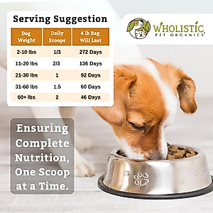 Wholistic Canine Complete with Organic Pumpkin for Dogs - 4 Lb - Dog Vitamins and Supplements with Pumpkin Powder for Digestion, Skin & Coat Health