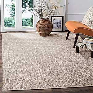 SAFAVIEH Montauk Collection Area Rug - 8' x 10', Ivory & Grey, Handmade Flat Weave Boho Farmhouse Cotton, Ideal for High Traffic Areas in Living Room, Bedroom (MTK333A)