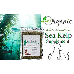 Kelp Powder for Dogs/Cats, Natural North Atlantic Ocean Sea Kelp, Vitamins Minerals and Antioxidants for Ultimate Health (4 Ounce)