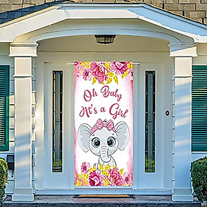 Dill-Dall Girl Baby Shower Door Banner, Oh Baby It's A Girl Sign, Girl Baby Shower / Gender Reveal / Welcome Baby Photography Background