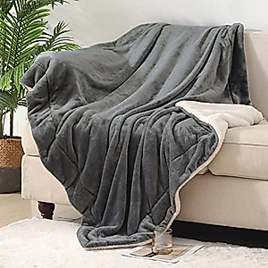 LuxenrelaX Sherpa Fleece Blanket for Couch, Warm Thick Reversible Blanket with 2 Layer, Double-Sided Super Soft Blanket for Bed (Light Grey, 50" x 60")