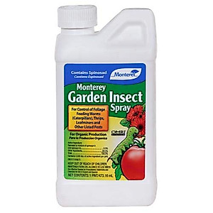 Monterey LG6150 1 Pint Monterey Garden Insect Spray Concentrate
