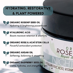 Peak Scents Organic Rose Phyto³ Night Cream with Hyaluronic Acid - Anti-Aging Face Moisturizer for Women - Wrinkle Cream with Rose Water, Vitamin C & E, and Acaí Stem Cells (2 fl. Oz)