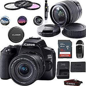EOS 250D DSLR Camera with EF-S 18-55mm Lens - Basic Accessories Bundle (International Version) (Renewed)