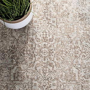 SAFAVIEH Evoke Collection Area Rug - 8' x 10', Ivory & Taupe, Oriental Distressed Design, Non-Shedding & Easy Care, Ideal for High Traffic Areas in Living Room, Bedroom (EVK256E)