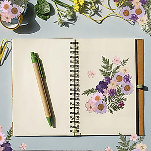 40Pcs Natural Pressed Dried Flowers Resin, Dry Flowers for Resin Accessories with Tweezer, Dried Flower for Scrapbooking DIY Art Crafts, Epoxy Resin Jewelry Molds, Candle, Nails Décor, Craft Making