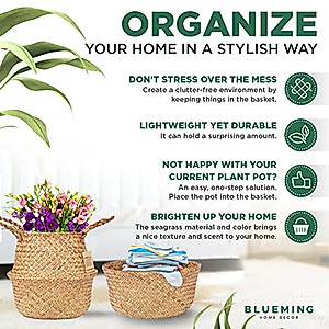 Blueming Home Decor Plant Baskets – Set of 2, Twin Pack Large Hand Woven Seagrass Rattan Belly Planter with Handles for Plant Pots, Home Decor, Organizer, Laundry (Original, 12 Inch x 10 Inch)