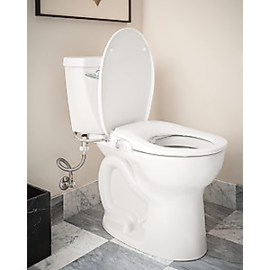 Moen EB500-R 2-Series Standard Non-Electronic Bidet Seat for Round Toilets, White