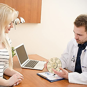 Midwife fetal position tool, carved wooden fetal position wheel for student midwife doctor doula (Round)