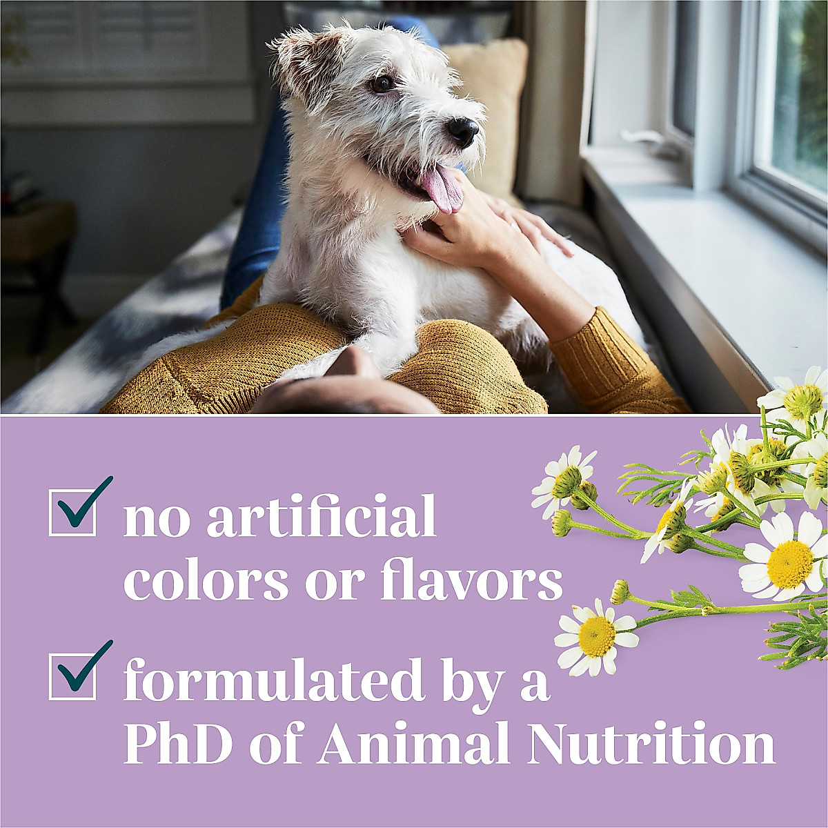 EverRoot By Purina Calming Dog Supplements Soft Chews - 10.6 oz. Canister