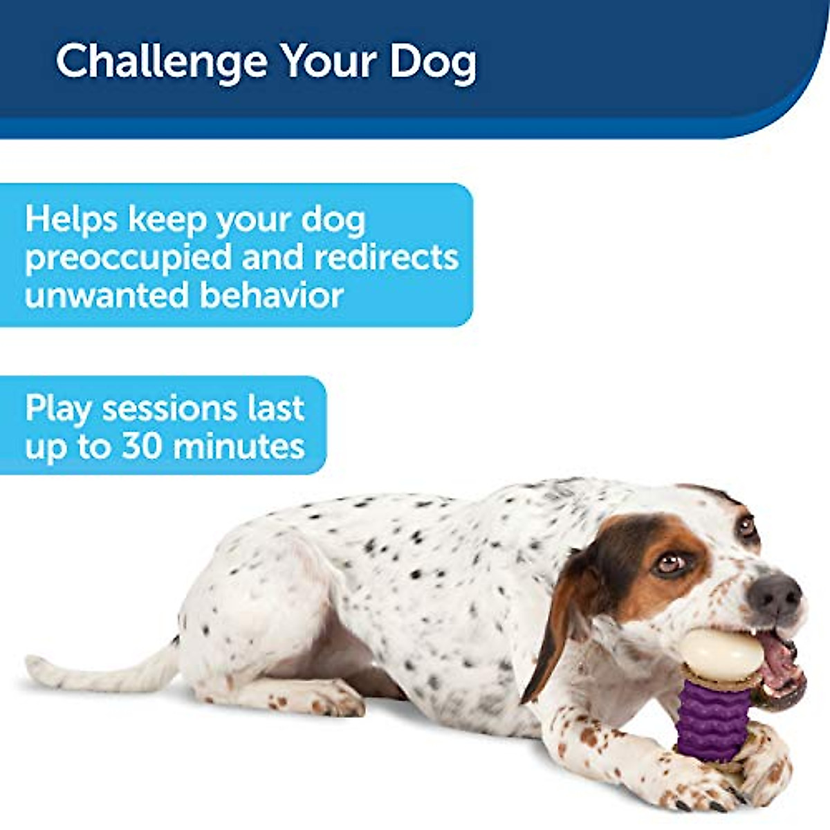 PetSafe Busy Buddy Nobbly Nubbly Treat Holding Dog Toy – Strong Chewers – Challenging - Treat Rings Included - Medium