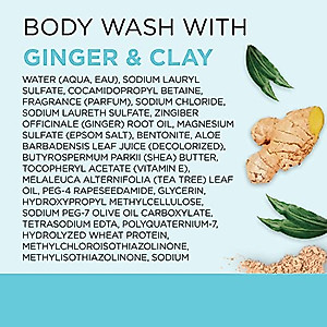 Dr Teal's Body Wash With Pure Epsom Salt, Detoxify & Energize With Ginger & Clay, 24 fl oz (Pack of 4) (Packaging May Vary)