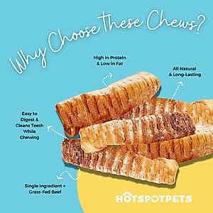 hotspot pets Premium Beef Trachea for Dogs 6" Strips Split -(20 Pack) All Natural Grass-Fed Beef Dog Chews, Rich in Glucosamine Chondroitin for Joint Health, Single Ingredient No Rawhide Dog Treats