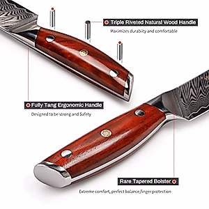 YARENH Bird's Beak Paring Knife - 67-Layer Damascus Steel - Super Sharp Blade for Peeling Fruit - African Sandalwood Handle