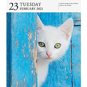 Cat Page-A-Day Gallery Calendar 2021