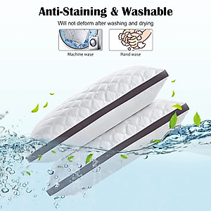 XCJC Sleep Bed Pillows 2 Pack: Comfort Luxury Standard Hotel Soft Pillows with Adjustable Fluffy Microfiber Filling Stuffing Washable Pillowcase for Back Stomach Side Sleepers - Size 20 x 26 Inches