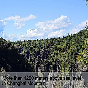 Wananfu - Schisandra Berry Dried 4oz - Schisandra Berry Tea/Schizandra Berries/Wuweizi (北五味子)