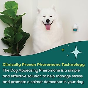 bSerene Pheromone Calming Solution for Dogs 30-Day Starter Kit: Plug-in Diffuser + Refill Helps Reduce Excessive Barking, Destruction, Stress, and Fear Great for Thunderstorms and Fireworks