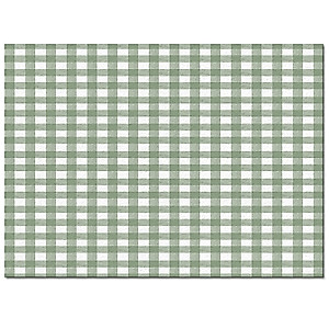 SRAELO Sage Green Buffalo Plaid Area Rug, Farmhouse Green White Geometric Plaid Washable Rugs, with Anti-Slip Backing Indoor Large Carpet for Living Room Bedroom Study Dining Room-3x4ft, Style-17