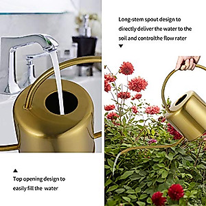 Long Spout Watering Can Nordic Style Brushed Stainless Steel Plant Watering Pot for Indoor and Outdoor Garden House Flower Bonsai Plant (40oz/1300ml) (1 Golden)