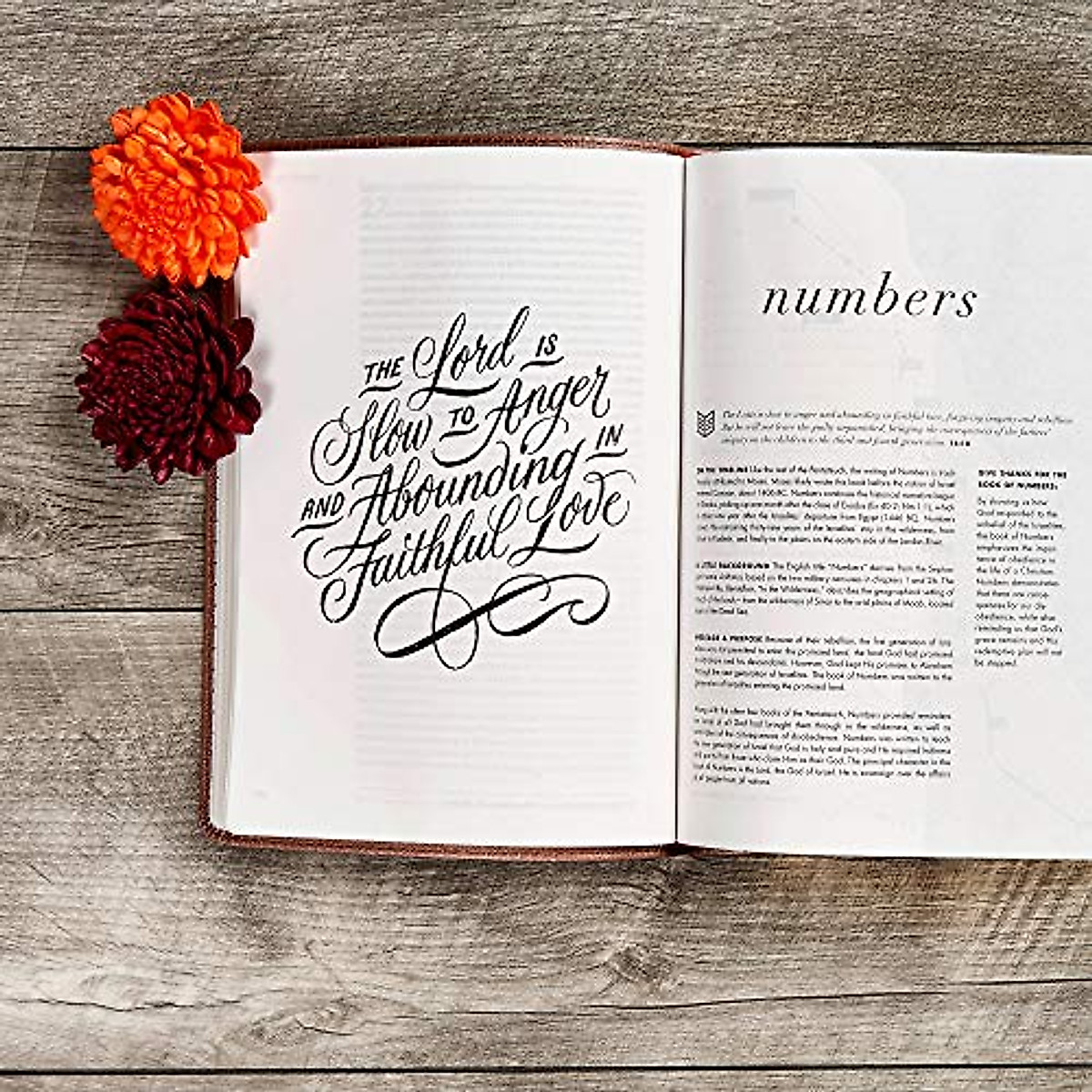 CSB She Reads Truth Bible, Rose Gold LeatherTouch, Black Letter, Full-Color Design, Wide Margins, Journaling Space, Devotionals, Reading Plans, Single-Column, Easy-to-Read Bible Serif Type
