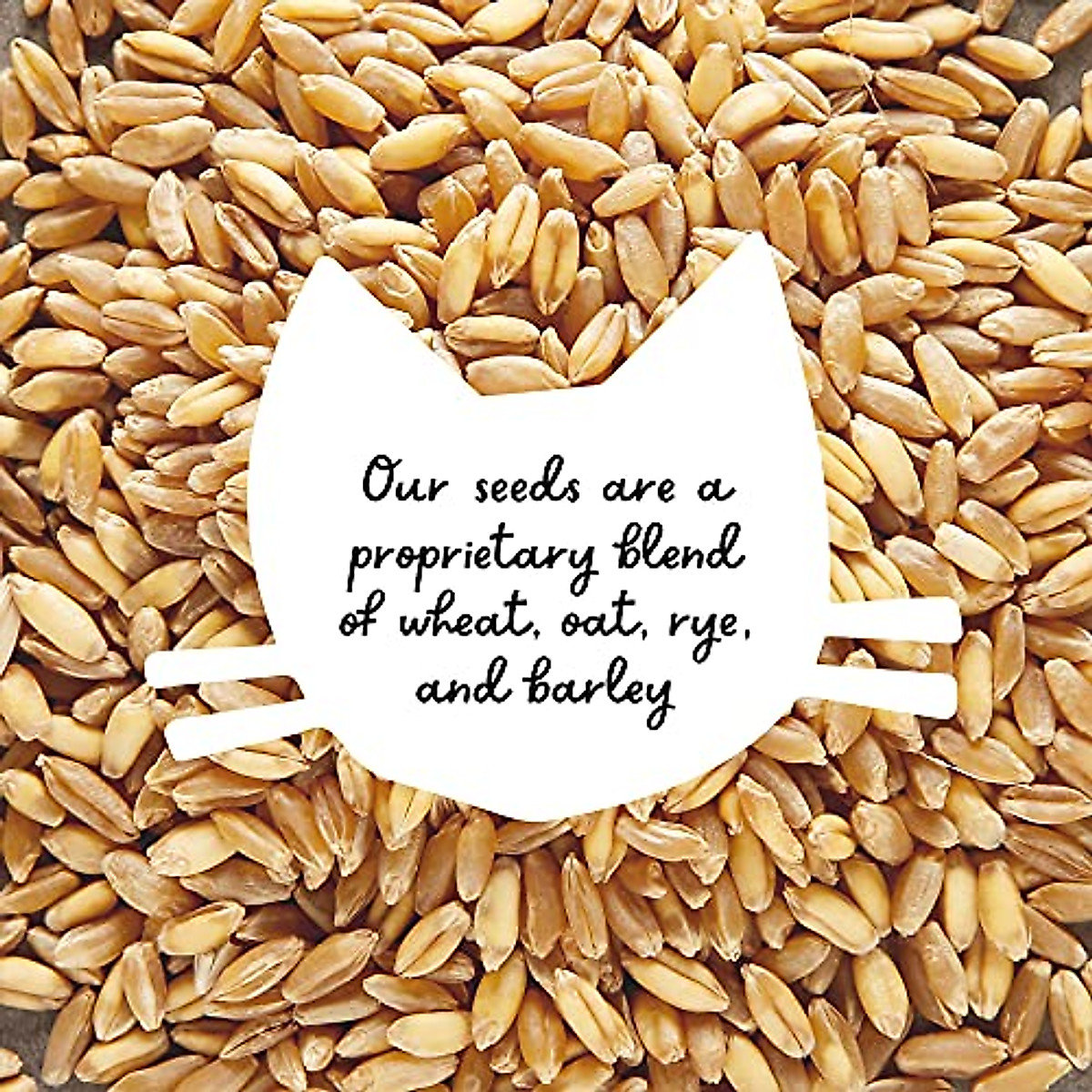 The Cat Ladies 100% Organic Cat Grass Seed (Non GMO)