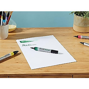Winsor & Newton ProMarker Watercolor Marker Set, 12 Count, Basic Tones