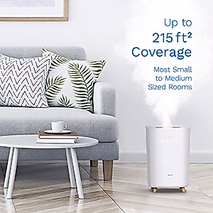 hOmeLabs Cool Mist Ultrasonic Mini Humidifier for Tabletop - 4 Liter Capacity with 40 Hour Run Time - Great for Bedroom, Baby Nursery, Plants and More