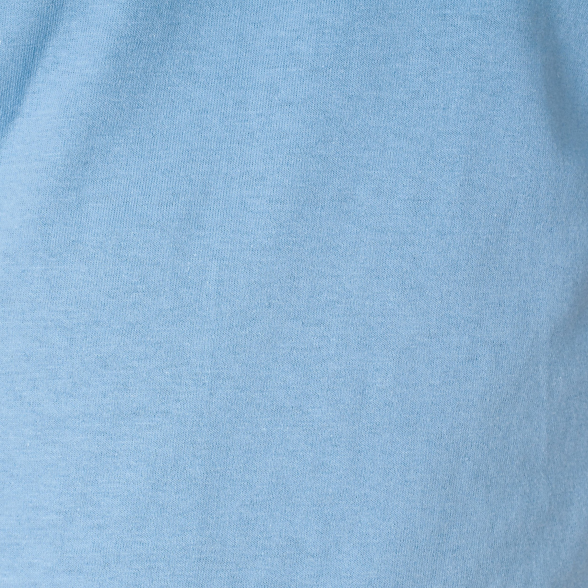 Fruit of the Loom Adult 5 oz. HD Cotton™ T-Shirt L Light Blue