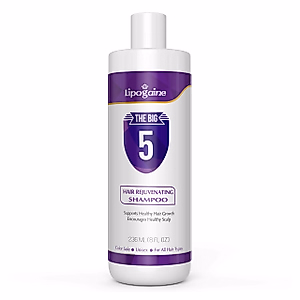 Lipogaine Big 5 Hair Stimulating All Natural Shampoo for Hair Thinning & Breakage (purple) (16oz)